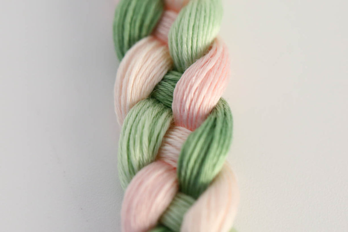 [mini] the sweetest rose 🌷 - Sarah Classic Sewing